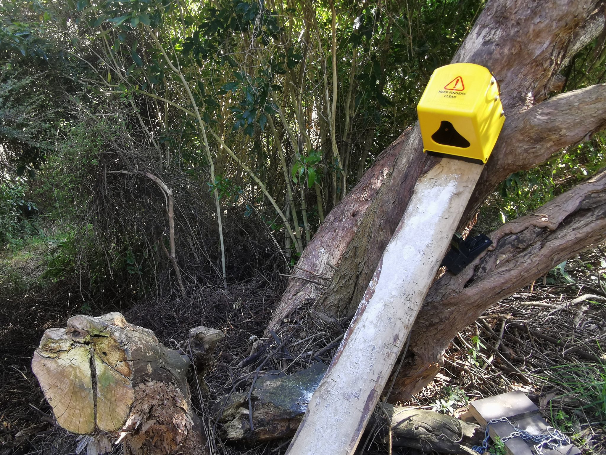 Possum Traps - reWild Wainui