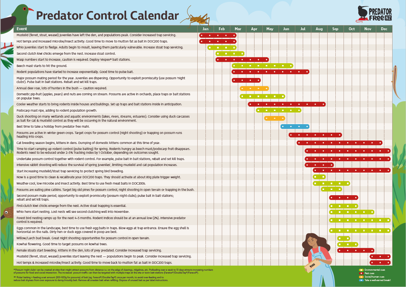 Predator Control Calendar - reWild Wainui